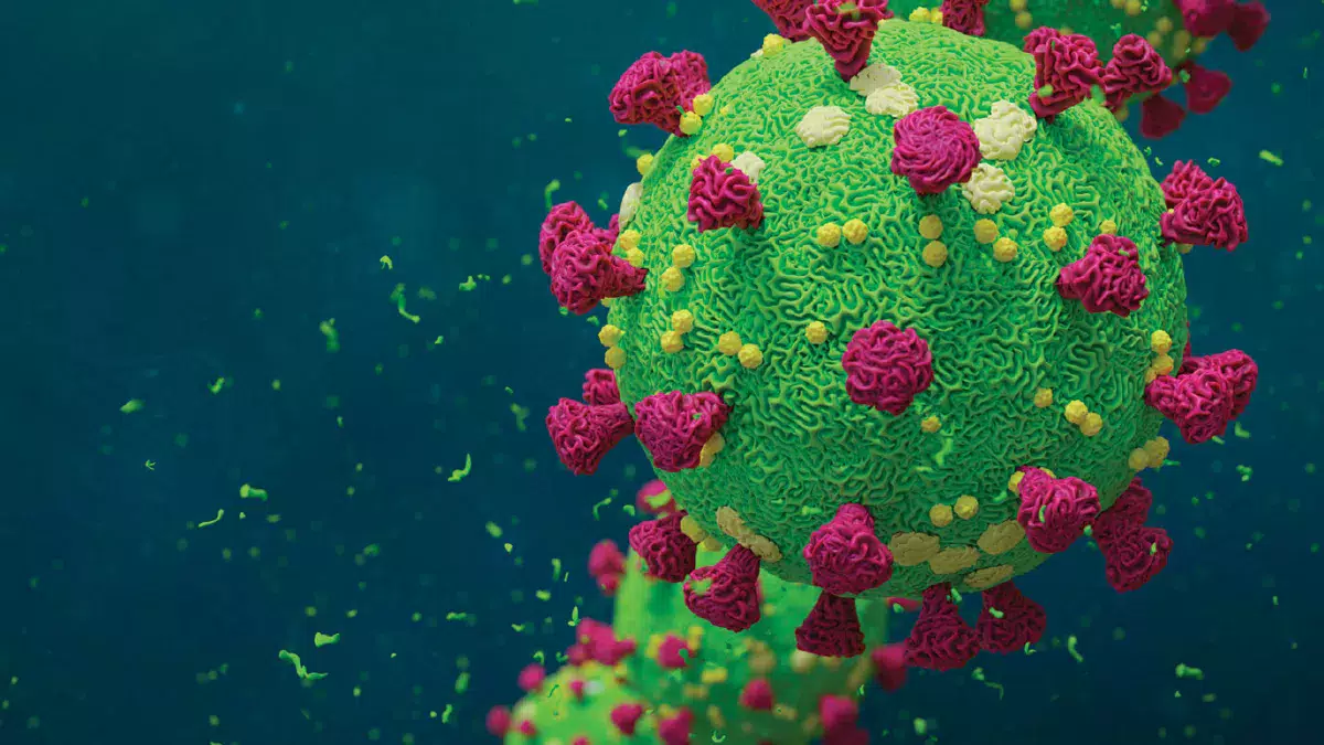 The gut-lung axis during viral respiratory infections | Content for ...