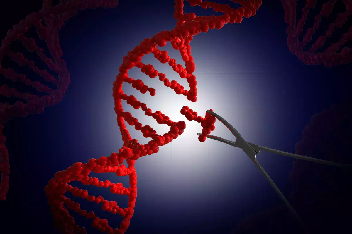 A new generation of antibacterial agents? A plasmid capable of killing ...