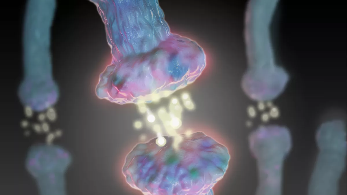 A gut-brain-skin axis? | Content for health professionals | Microbiota ...