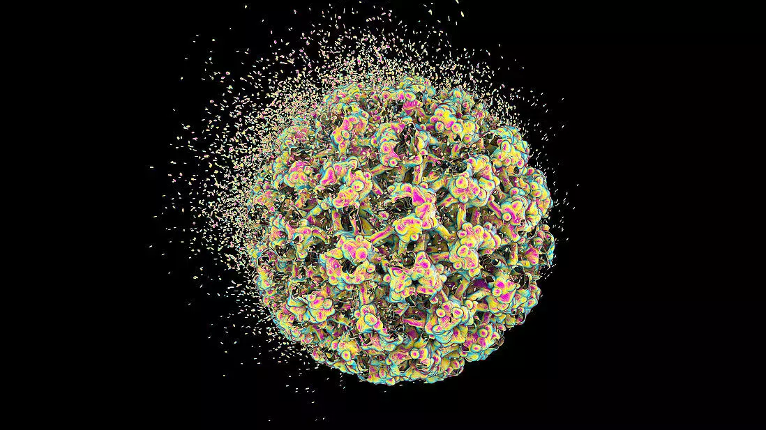 Cancro do colo do útero: o cerco aperta-se em torno da L. iners ...