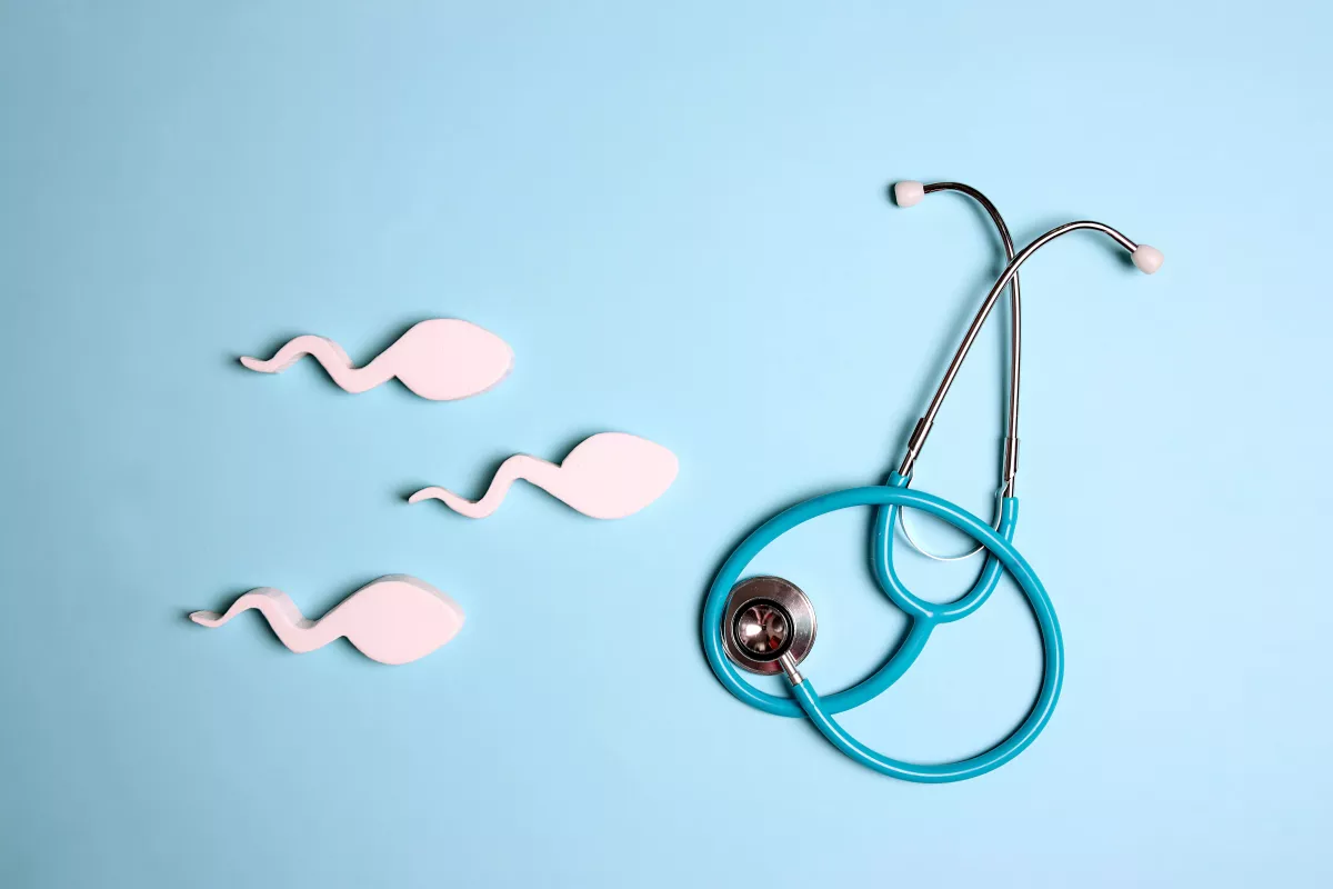 Male infertility: are bacteria in semen involved? | Content for the lay ...