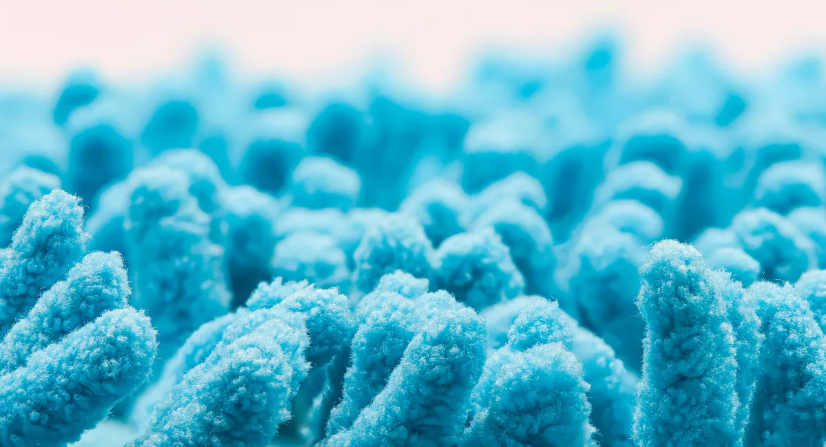 How a 7-strain consortium rebuilds the gut to defeat antibiotics ...