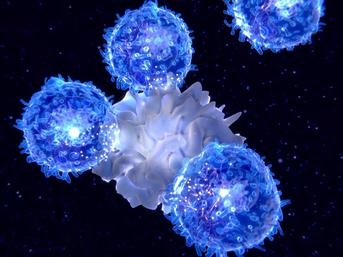 This one gut microbe could change the way cancer therapy performs ...